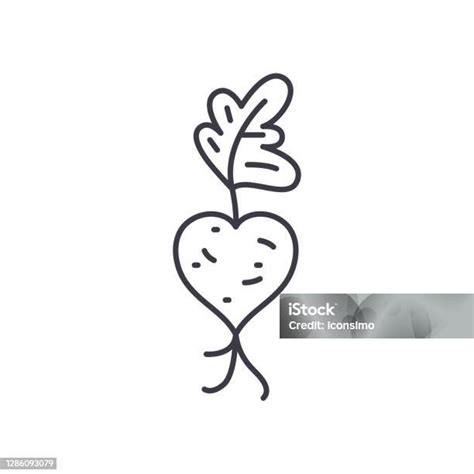 무 개념 아이콘 선형 절연 일러스트레이션 얇은 선 벡터 웹 디자인 기호 흰색 배경에 편집 가능한 스트로크와 개요 개념 기호 0