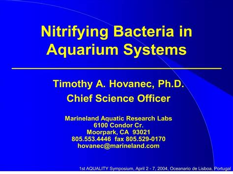 Ppt Nitrifying Bacteria In Aquarium Systems Powerpoint Presentation