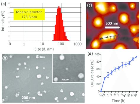 Characterisitics Of The Nanoliposomal Formulation A Determination Of