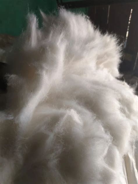 Natural Bamboo Pulp Fiber At ₹ 300kg In Chennai Id 2855416913733