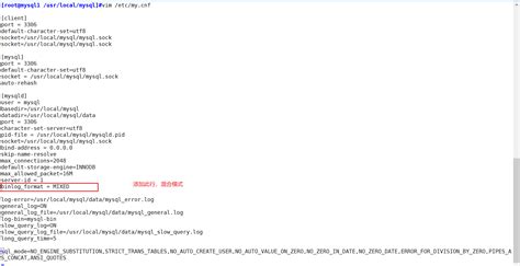 MySQL日志管理备份与恢复 崧蓝 博客园