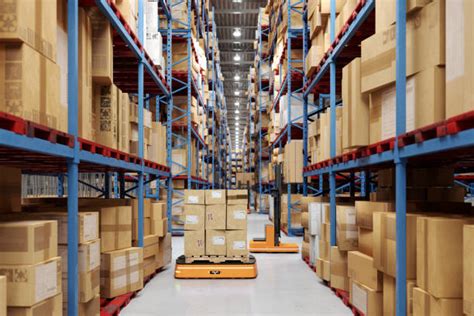 How Warehouse Robotics Improves Efficiency And Reduces Costs Myotics