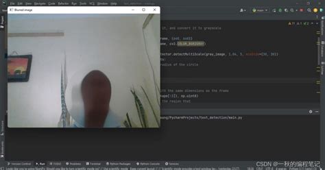 如何使用Python实时模糊人脸 face blur CSDN博客