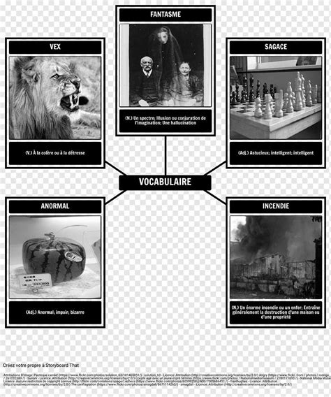 the plot structure of the black cat explained
