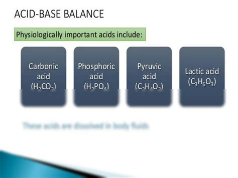 SOLUTION: Buffer system acid base balance - Studypool