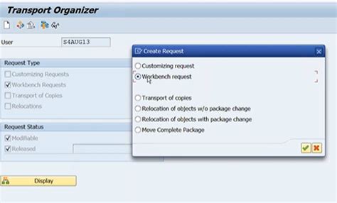 SAP Insights Navigating The Easy Access Screen Customization Tips And Project Overview