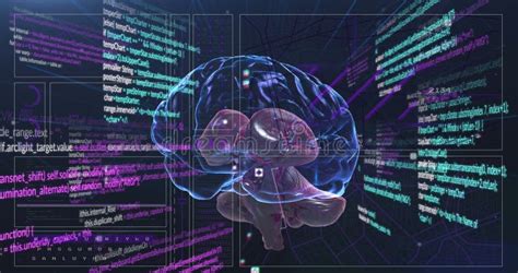 Image Of Data Processing Over Human Brain On Digital Interface Stock