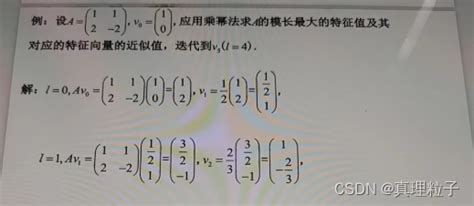 Python实现幂乘法求主特征值：空间解释与向量收敛 Csdn博客