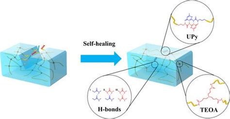 通过化学交联增强自修复聚氨酯的机械性能 Journal Of Applied Polymer Science X Mol
