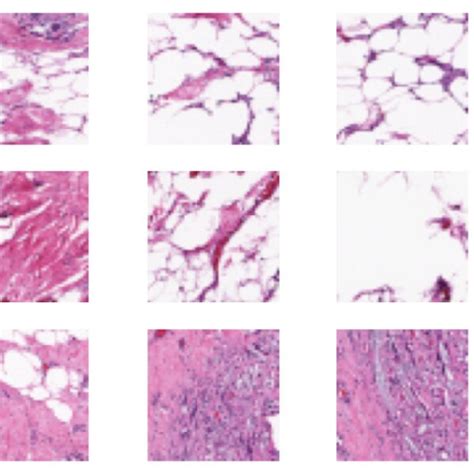Sample Part Of The Dataset Download Scientific Diagram