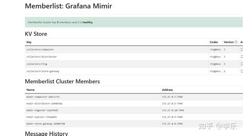 Grafana Mimir 调研 知乎