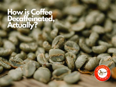How Is Coffee Decaffeinated Actually By Rahmajeng Medium