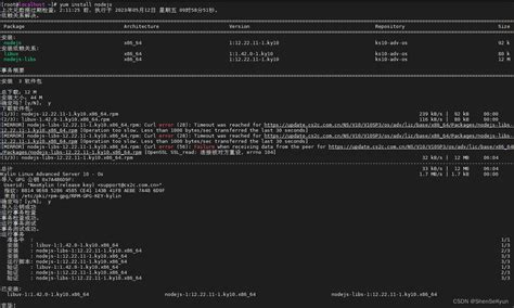 银河麒麟服务器操作系统v10sp3安装部署wiki麒麟v10 Sp3 Csdn博客