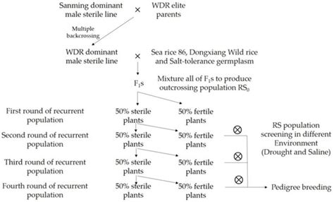 Improvement Of Salinity Tolerance In Water Saving And Drought Resistance Rice Wdr