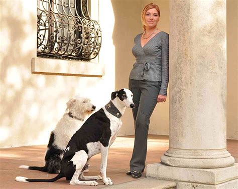 Geschichten Und Fakten Zur Ernährung Des Hundes Von Dr Karin Dohrmann