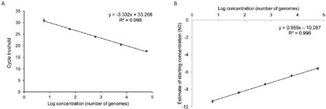 Standard Curve Of Qpcr Using Serial Dilutions Of Dnas From Cultured