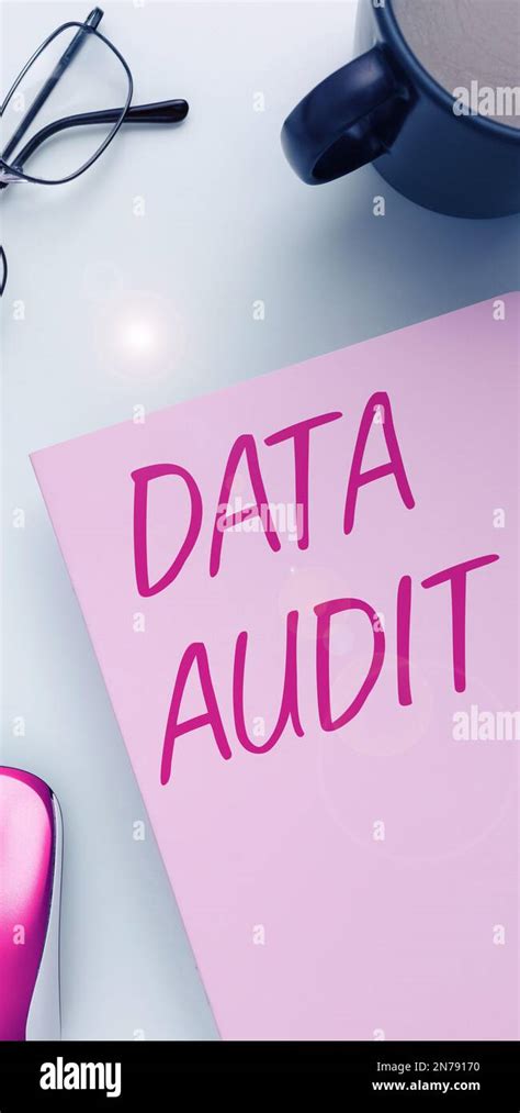 Inspiration Showing Sign Data Audit Business Showcase Auditing Of Data To Assess Its Quality