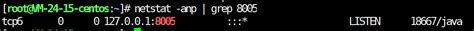 快速上手 Linux环境配置 基本指令与项目部署要点linux系统基本项目 Csdn博客