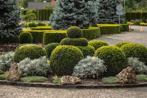 Premium Photo Beautiful Backyard Landscape Design With Bush And