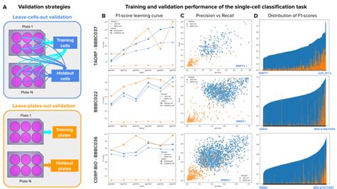 Validation Strategies For The Single Cell Classification Task In Weakly