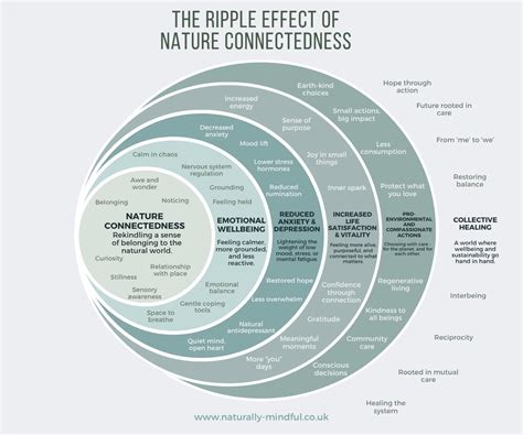 Ripple Effect Diagram Ripple Effect Medallion By Florence Knapp