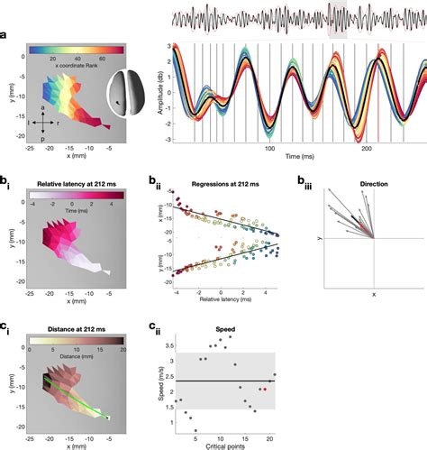 Figures And Data In Spatiotemporal Organisation Of Human Sensorimotor