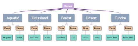 What Is A Thinking Map Types And Examples
