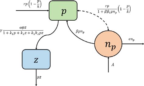 Schematic Diagram For The Model System Download Scientific Diagram