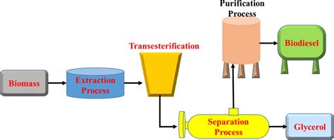 Biomass Physicochemical Conversion Scheme Download Scientific Diagram