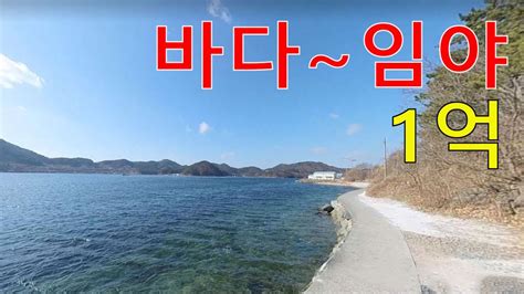 1억 시세5~12억 청정~바닷가~ 건축가 임야 남향 편안한 자연인 전원생활 숲야영장6차산업 약용재배 임업직불금 땅과함께새희망을경매임야 공매임야 나도땅주인 Youtube