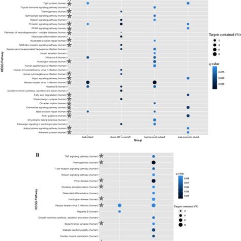 Bubble Plot Of Enriched Pathways From The Mirna Gene Targets A Download Scientific Diagram