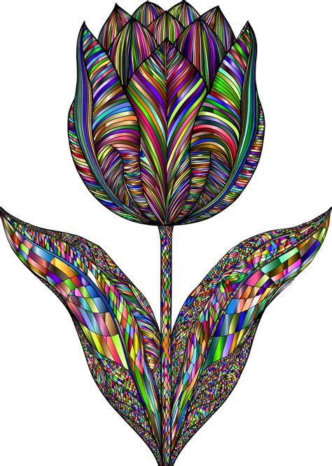 Tulp Bloem Plantaardige Gratis Vectorafbeelding Op Pixabay