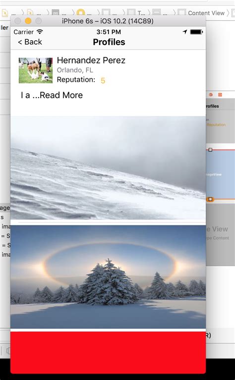 Swift Ios Image Constraints Not Working Properly In Devices Stack