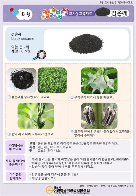2018년 8월 교사·어린이 교육자료 컬러푸드 검은깨 네이버 블로그