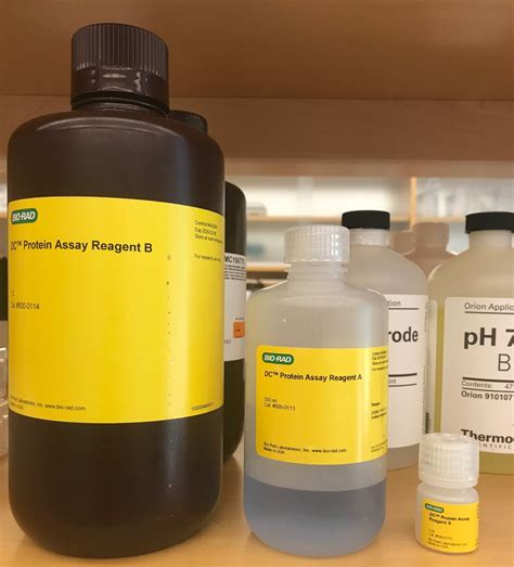 Bradford Protein Assay Kit Bio Rad At Marilyn Hudgins Blog