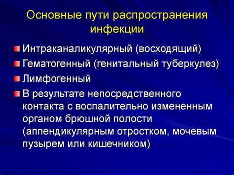Воспалительные заболевания женских половых органов неспецифической этиологии презентация онлайн