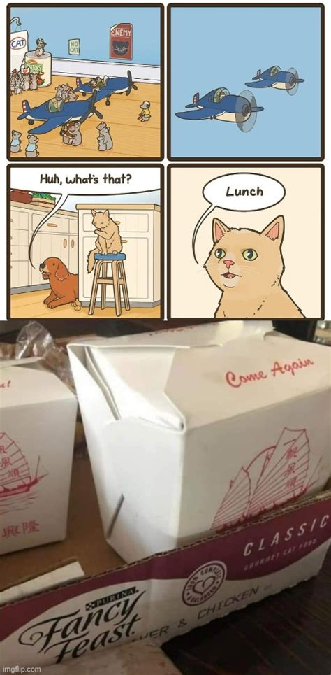 Fancy Feast Cat Food For Lunch Imgflip