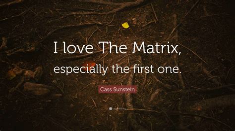 Cass Sunstein Quote I Love The Matrix Especially The First One”