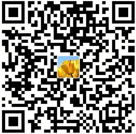 Python 简写操作（for、if简写、匿名函数） 无为