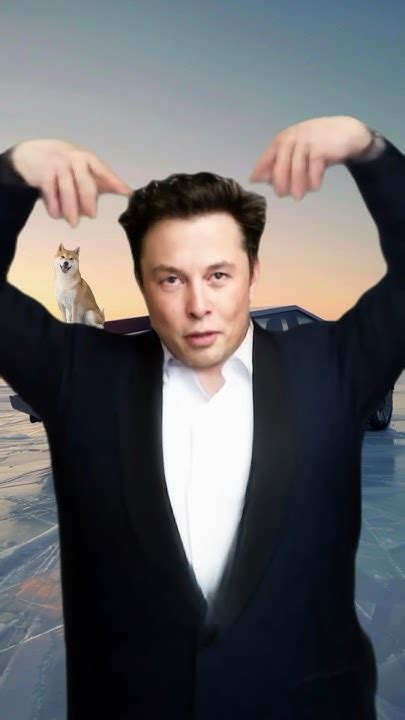 꽁꽁 얼어붙은 한강 위로 도지가 걸어다닙니다 🐕🧊 Youtube