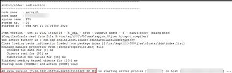 How To Check Kernel Version Of An AS Java BuddySAP