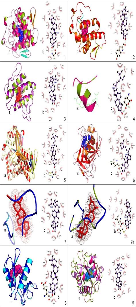 Docked Structures Of Russells Viper Venom Proteins And Lead Molecules Download Scientific