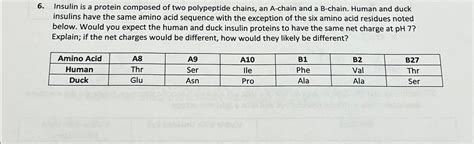 Solved Insulin Is A Protein Composed Of Two Polypeptide