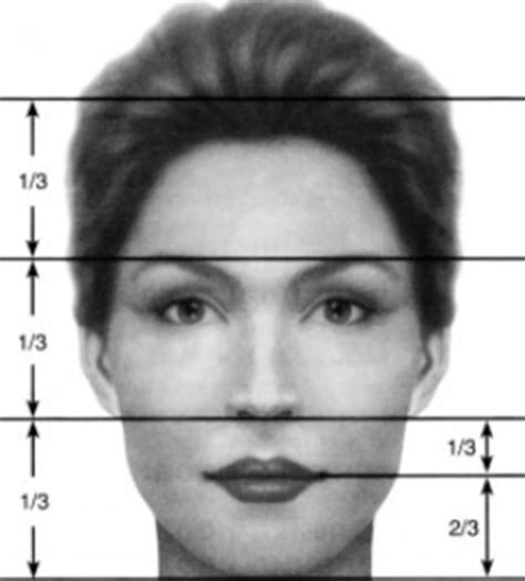 Анатомо топографічна будова кісткової системи верхньої третини обличчя Значення для клініцистів