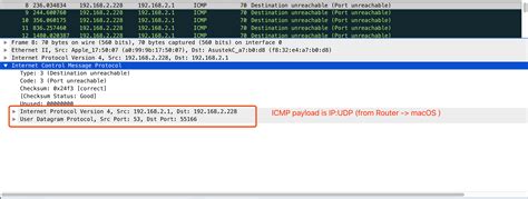 Networking What S The Destination Unreachable ICMP Packet ICMP Payload The UDP Usage