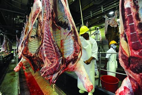 Bmc Beef Business Blossom In Uae Guardian Sun
