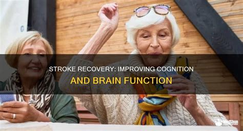Stroke Recovery Improving Cognition And Brain Function Medshun