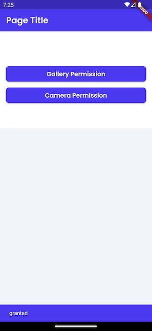 Unfunctional Request Photo Library Permission Issue FlutterFlow Flutterflow Issues GitHub