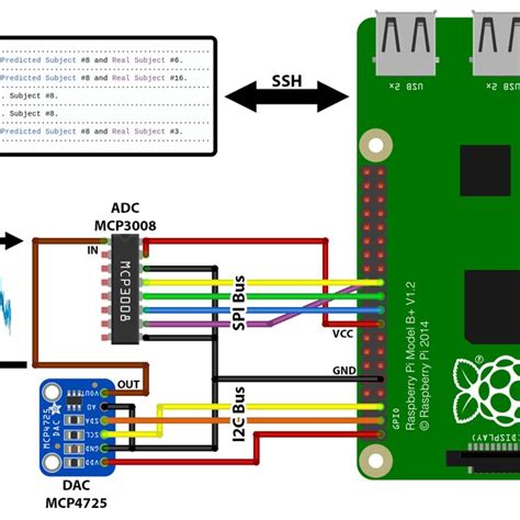 System Hardware Setup Download Scientific Diagram
