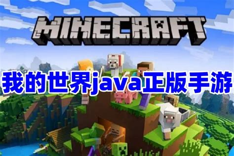我的世界java正版 我的世界java启动器 芒果玩
